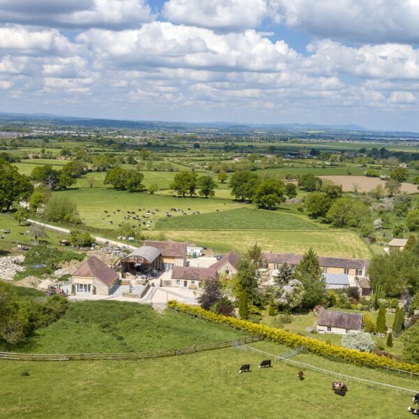 Home | Hayes Farm