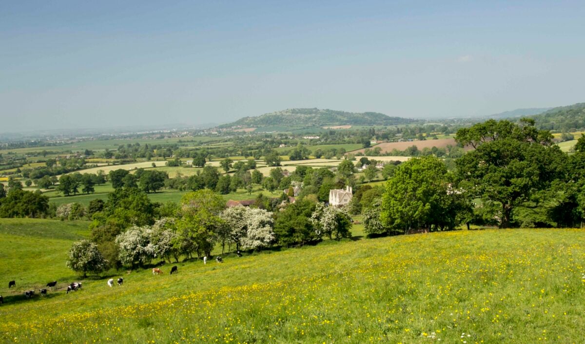 Things to do | Hayes Farm